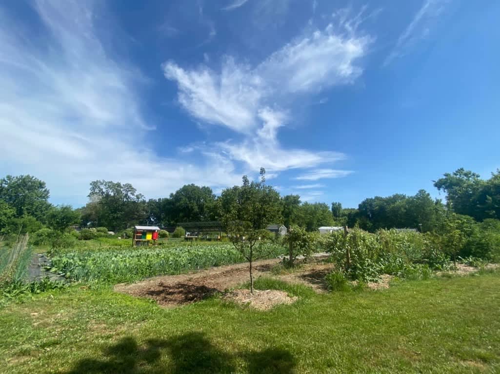 Rustic Roots Sanctuary - Hipcamp in St. Louis, Missouri