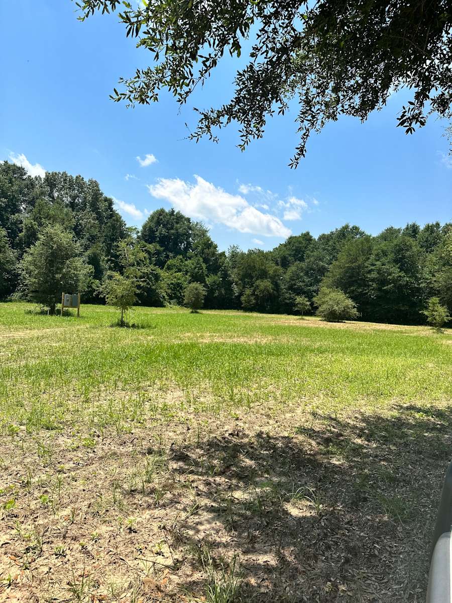 Hannerville - Hipcamp in Parrott, Georgia