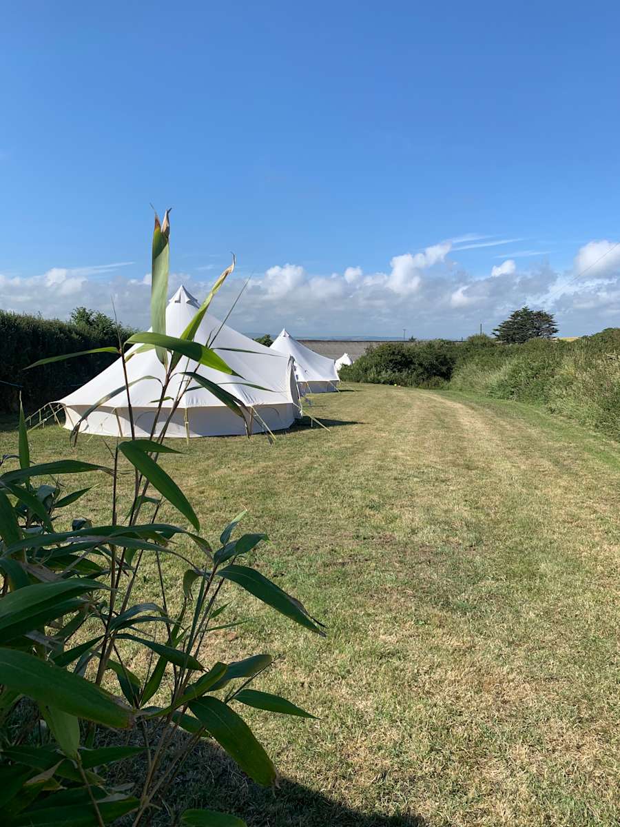 Tregantle Farm Eco wild glampsite - Hipcamp in Cornwall, England
