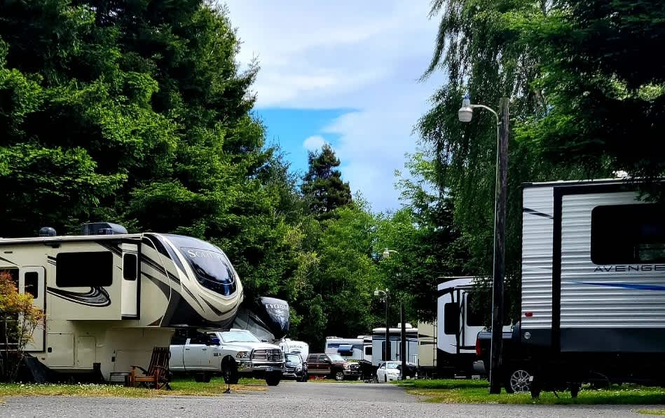 Riverwalk RV Park - Hipcamp in Fortuna, California