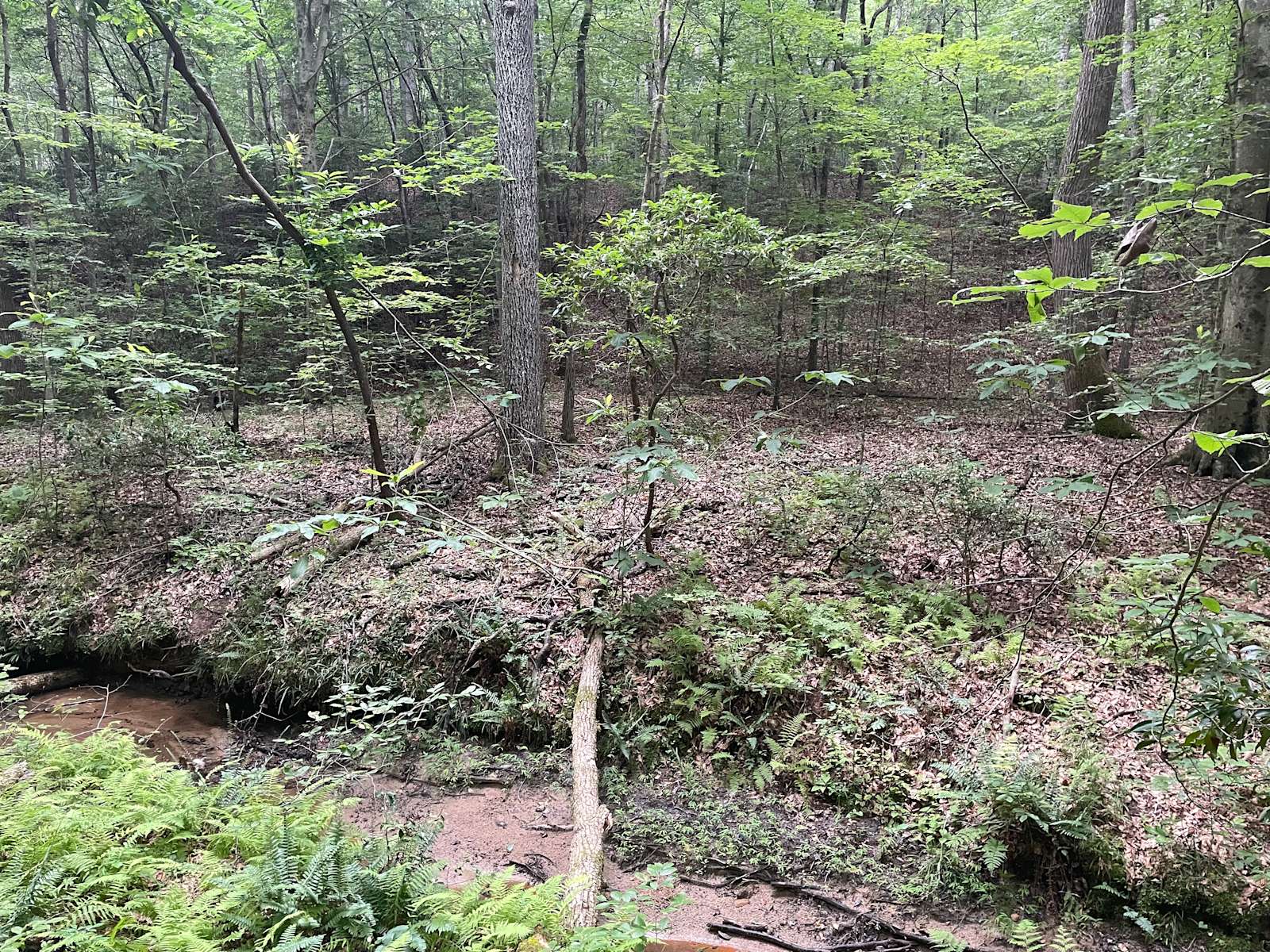 Fruit of the Spirit Farm - Hipcamp in Iron Station, North Carolina