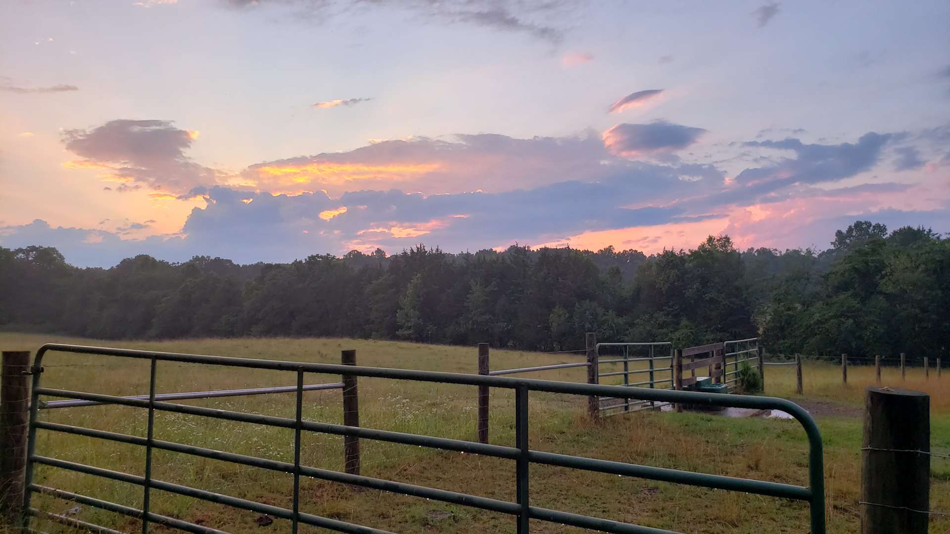 Nealand Farm - Hipcamp in Scottsville, Virginia