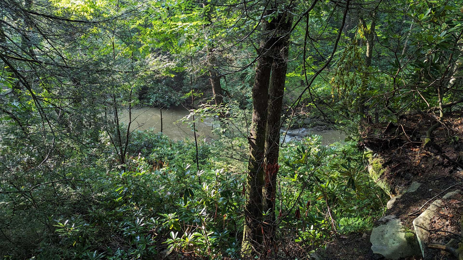 Hominy Falls RV Resort - Hipcamp in Mount Nebo, West Virginia