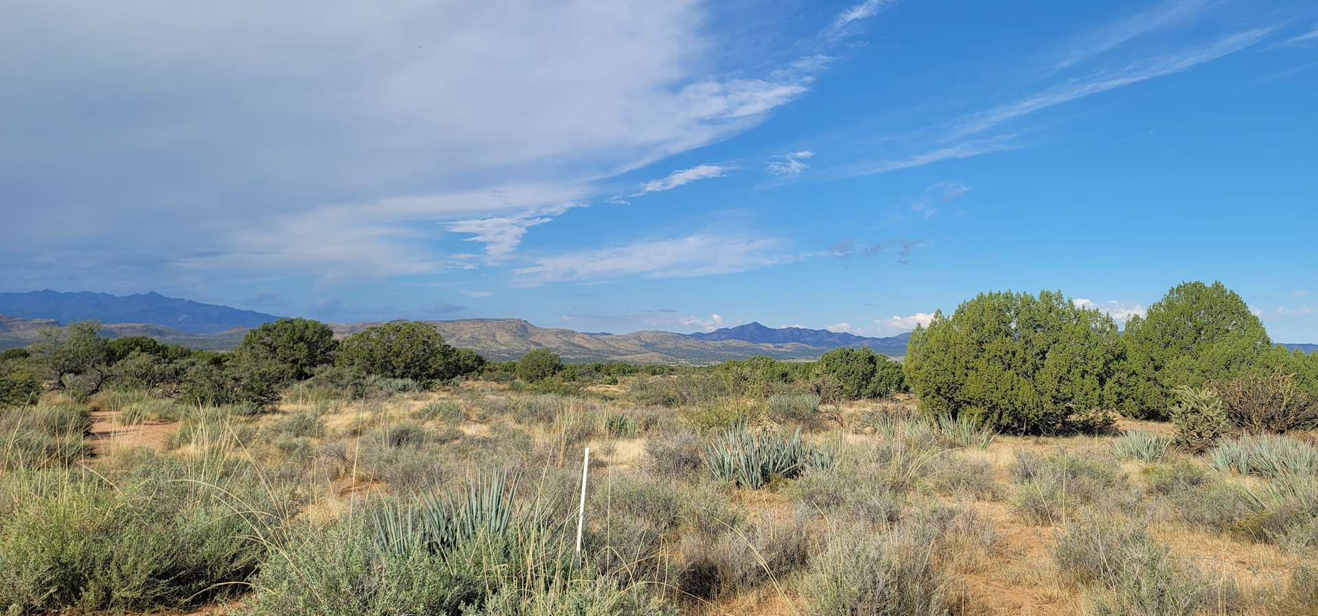 Hackberry Roots Ranch - Hipcamp in Hackberry, Arizona