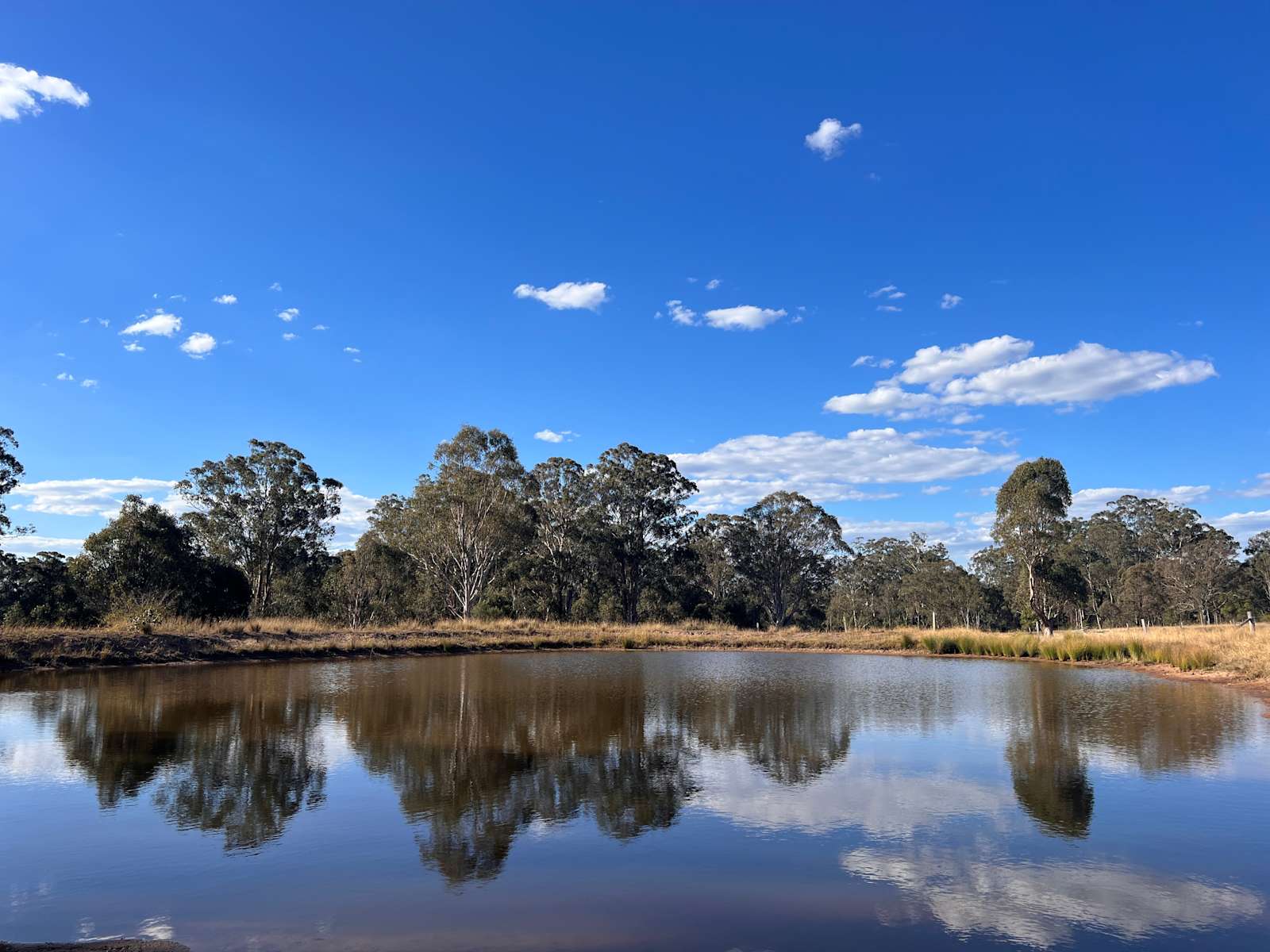 Gum Flat Farm - Hipcamp in Crows Nest, Queensland