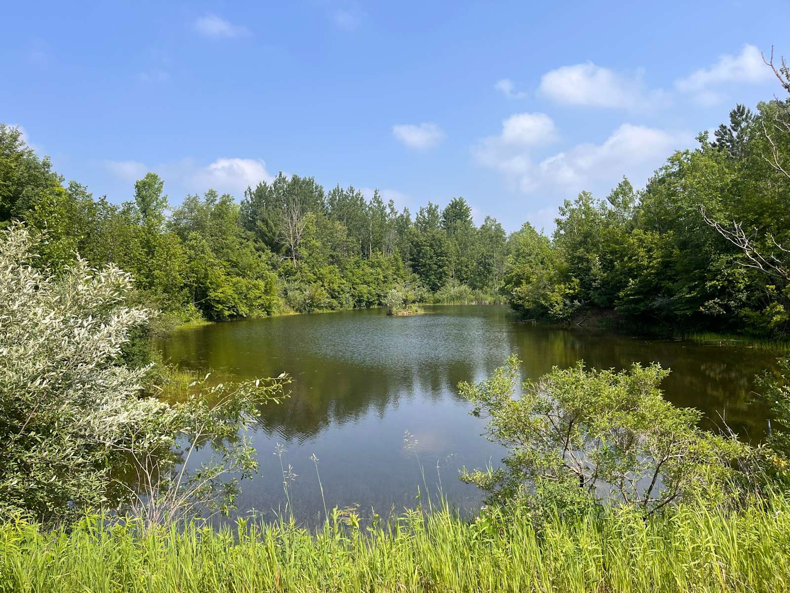 Rains Ranch - Hipcamp in Curran, Michigan