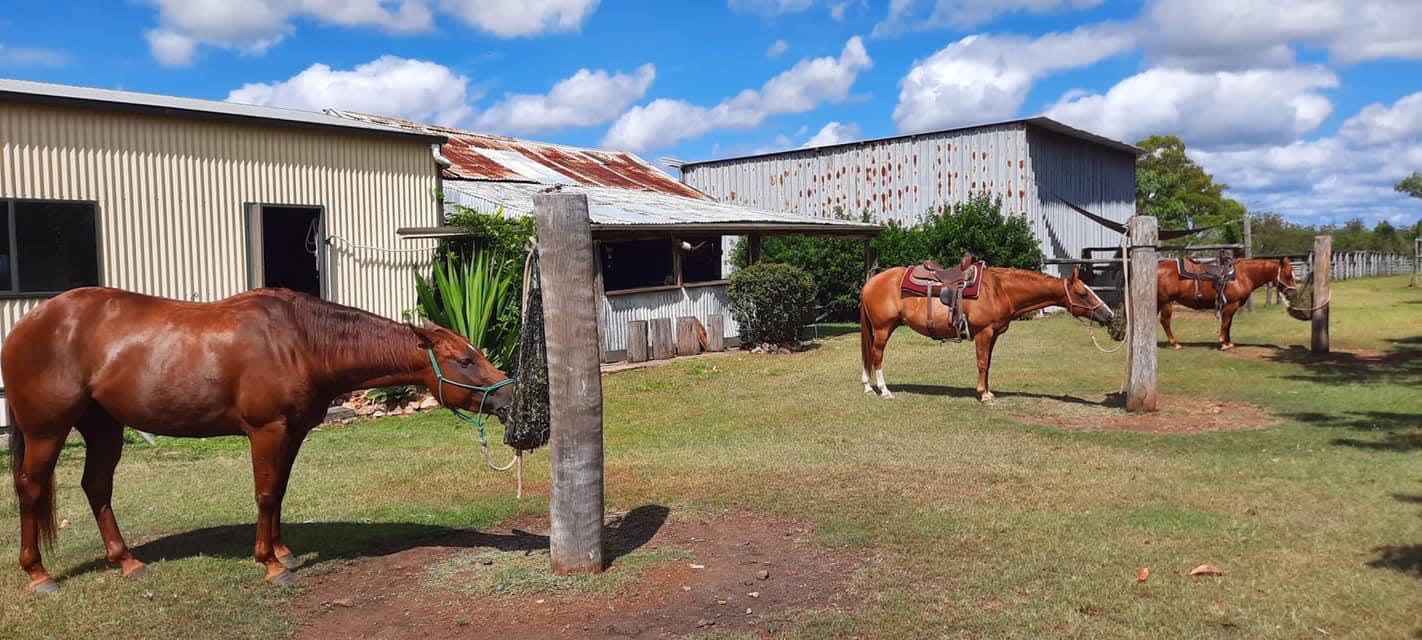 Valley Views Performance Horses - Hipcamp in Maryborough, Queensland