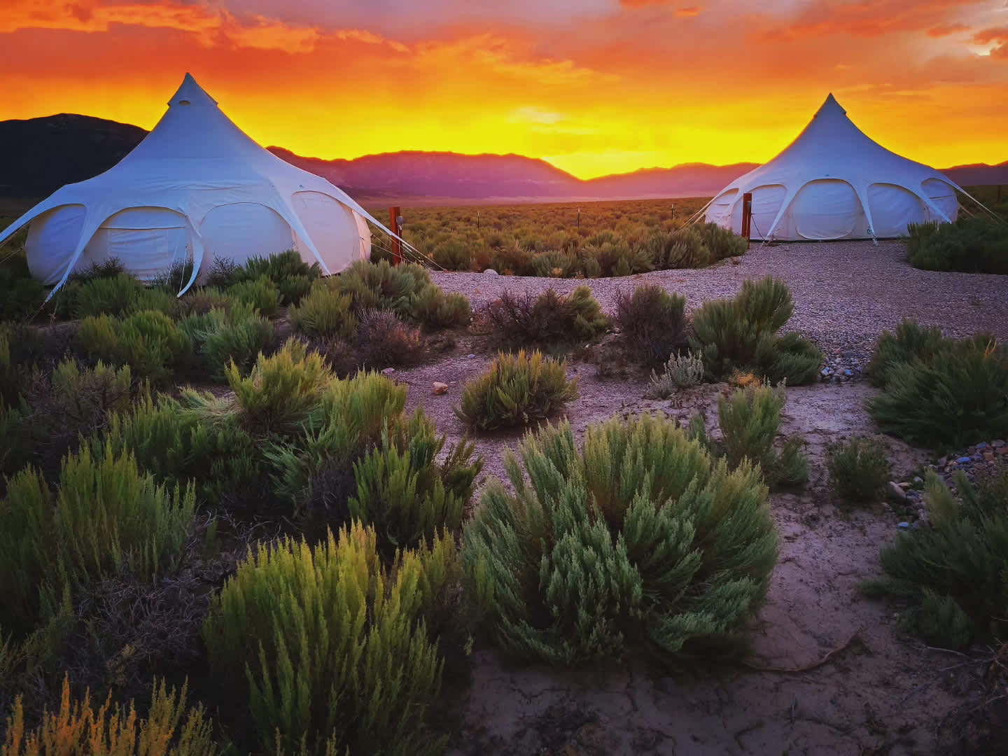 Schellraiser - Hipcamp in Mc Gill, Nevada