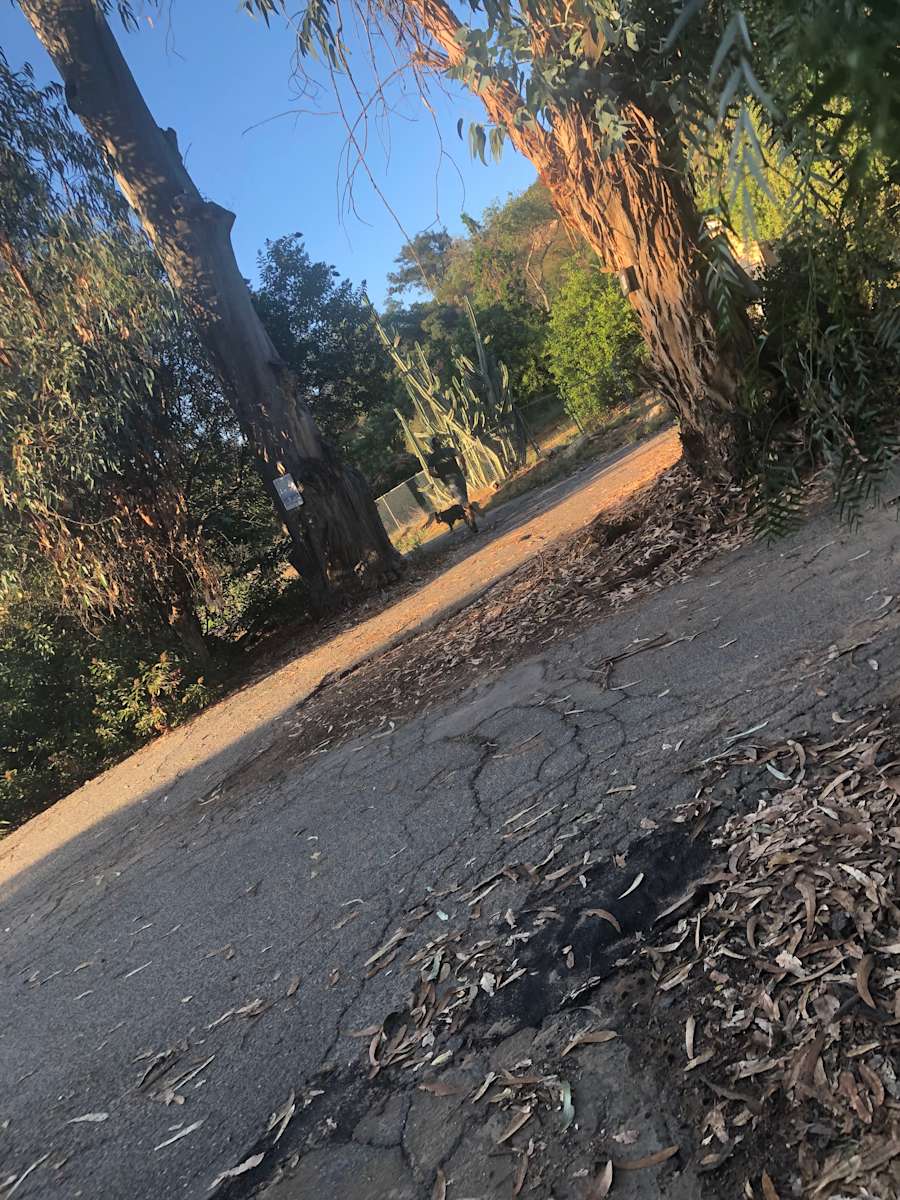 “The Birdwatch Stay” - Hipcamp in Fallbrook, California