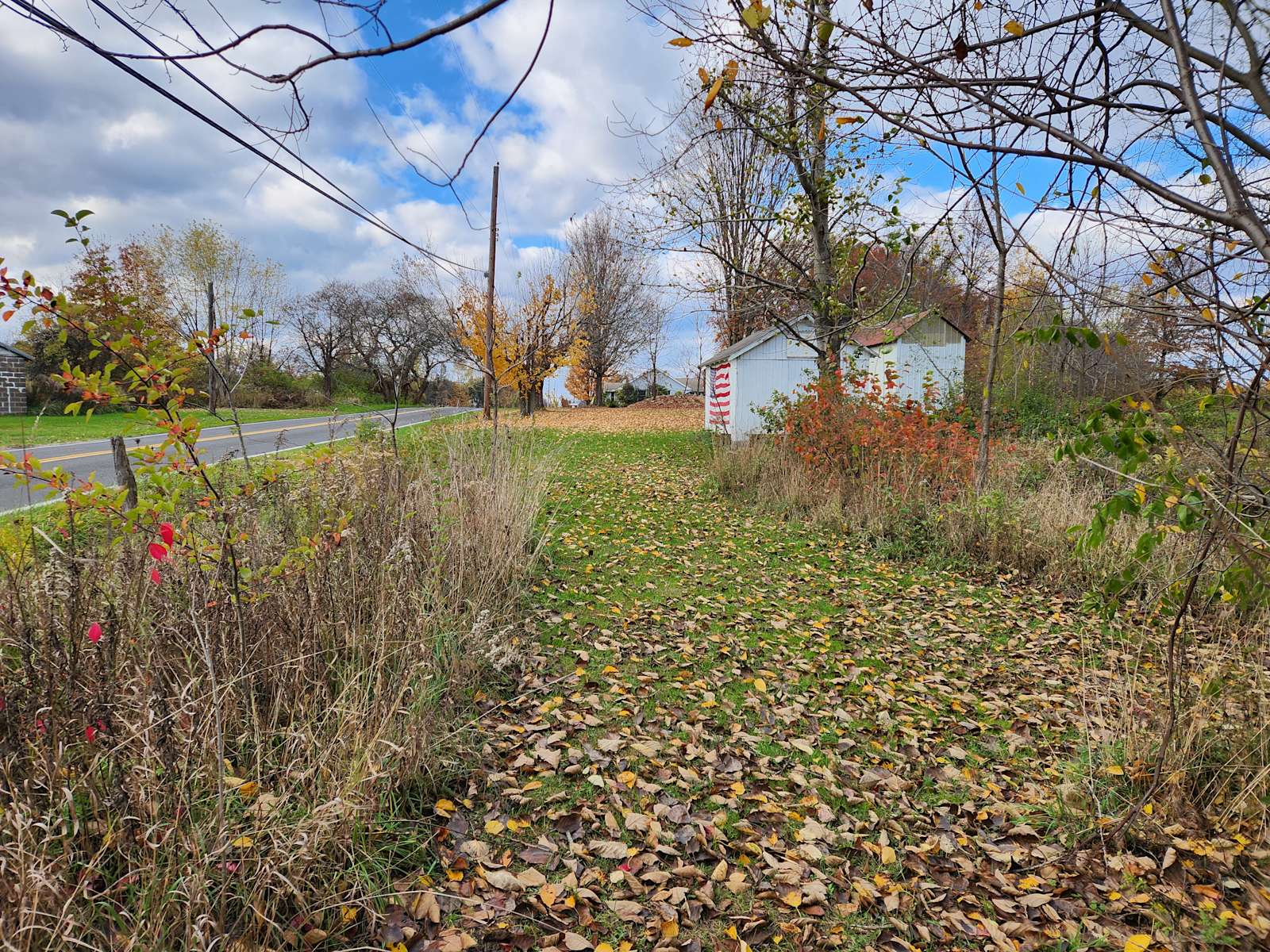 Bob's Playground!! - Hipcamp in Atwater, Ohio