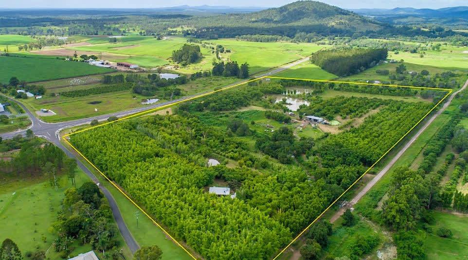 GSM Bamboo Farm - Hipcamp in Bauple, Queensland