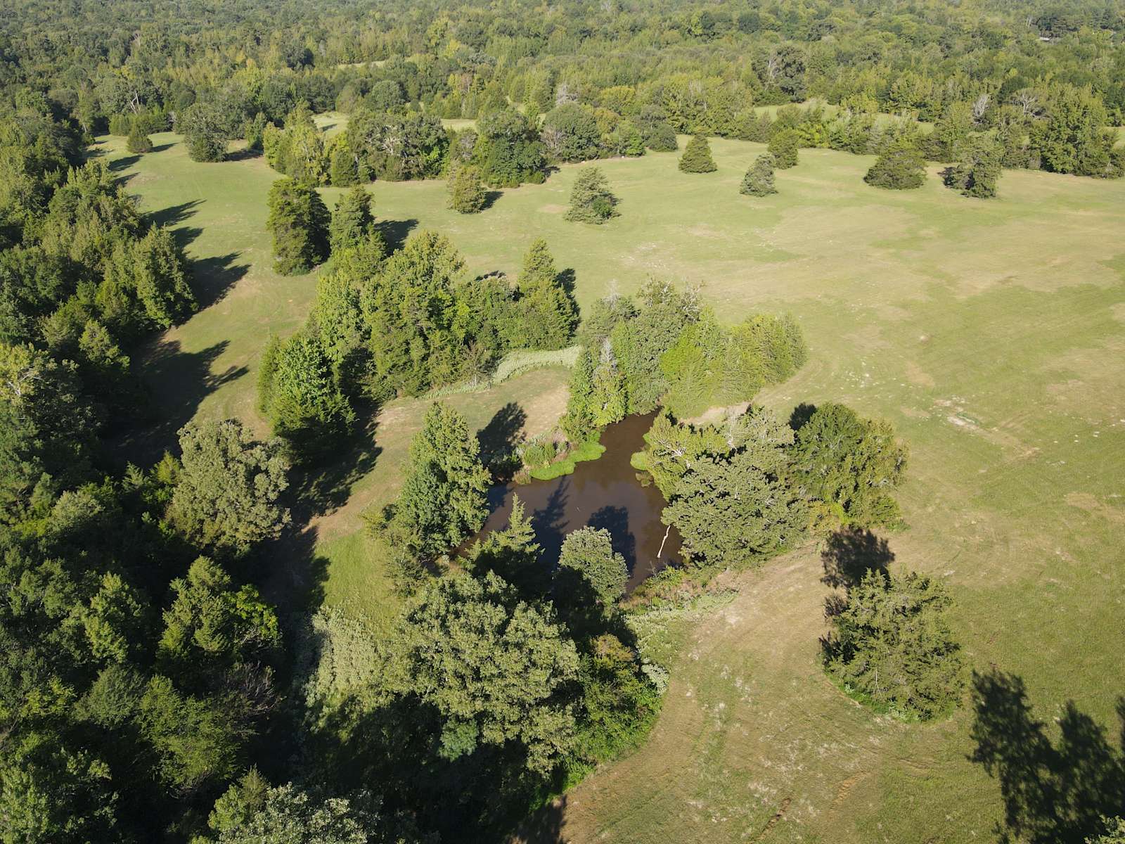 Two Bits Ranch - Hipcamp in Lone Star, Texas