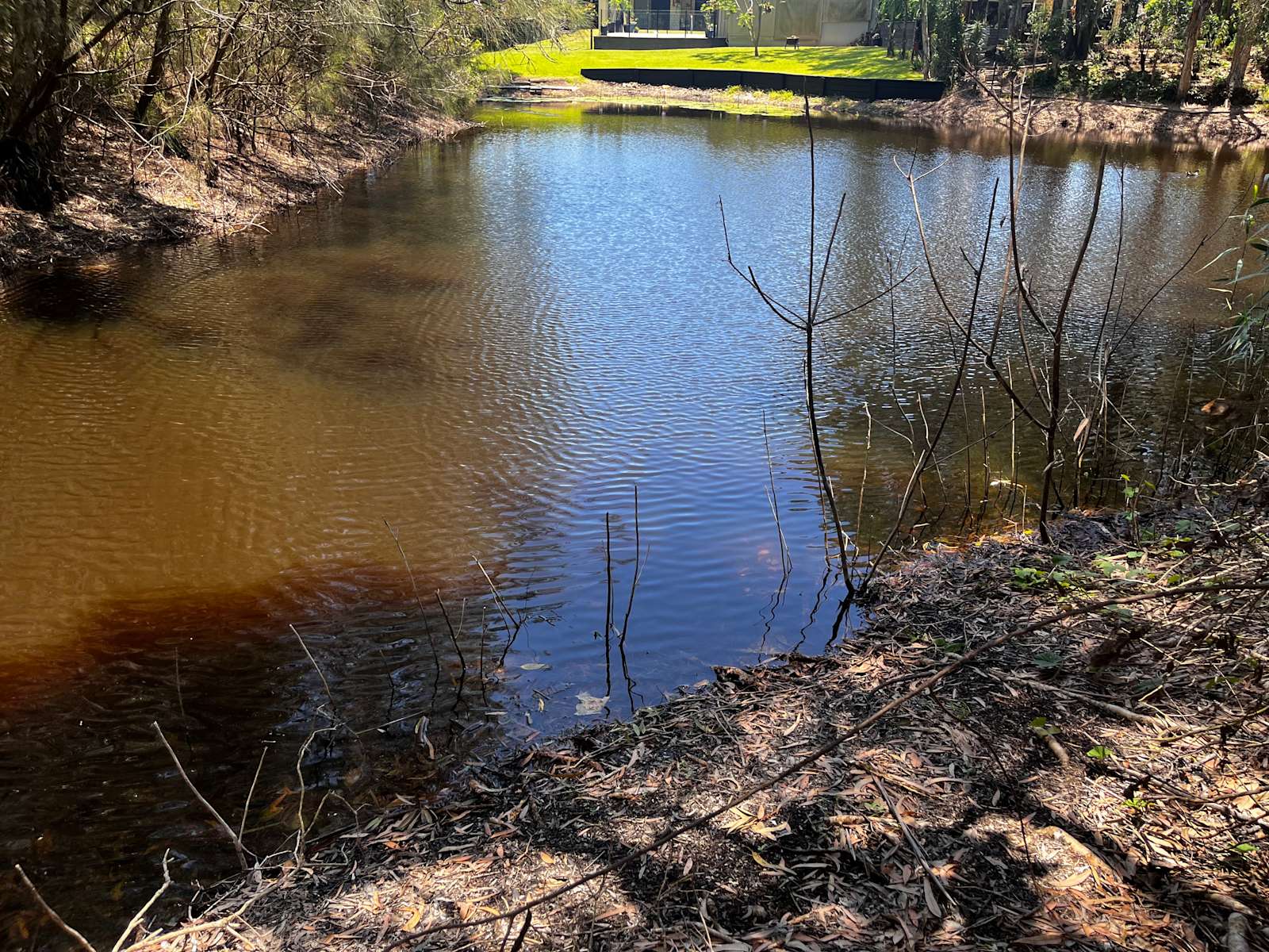 Critter Creek Campground - Hipcamp in Toogoom, Queensland