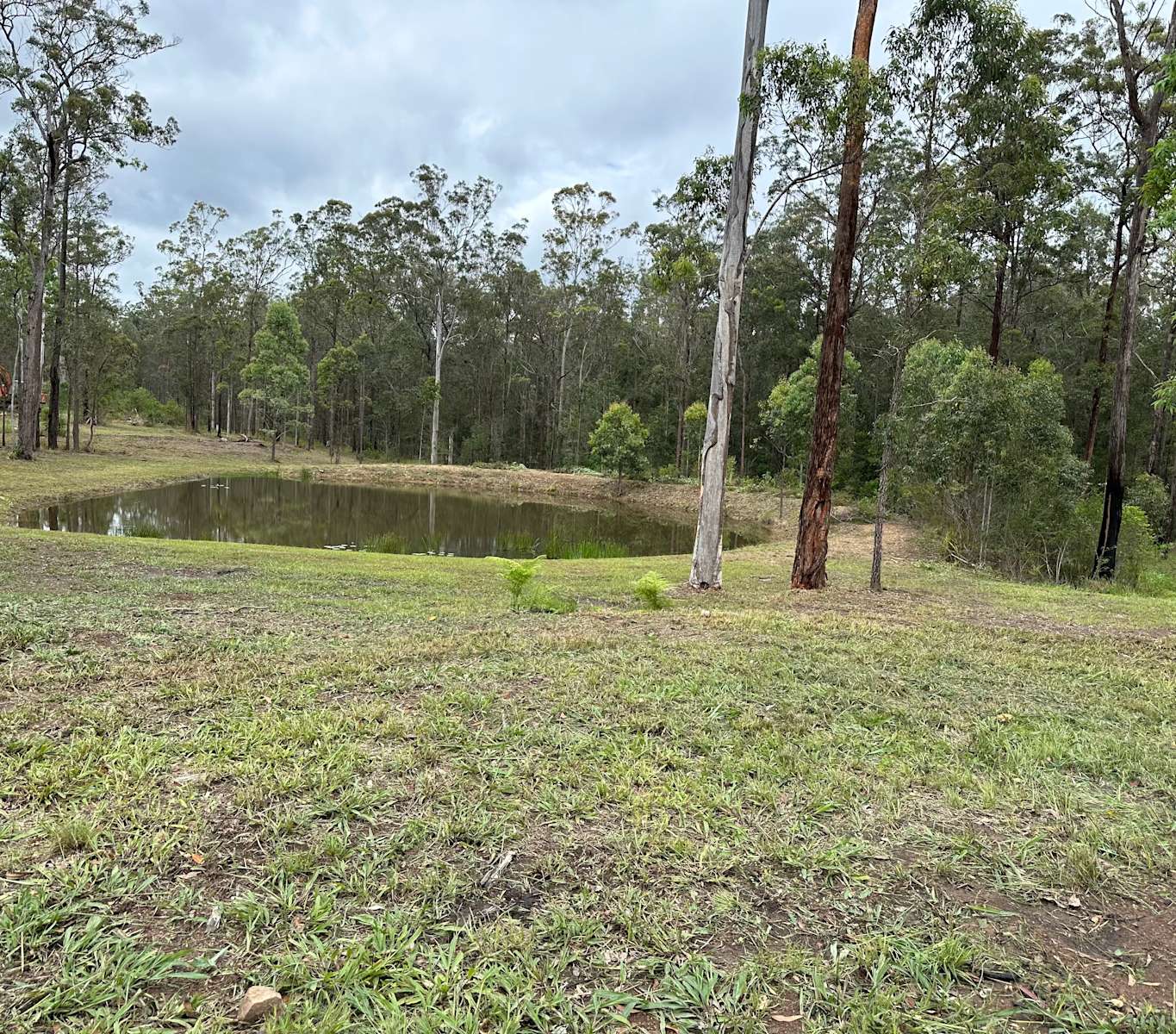 Crockers Creek Hideaway Farm - Hipcamp in Minimbah, New South Wales