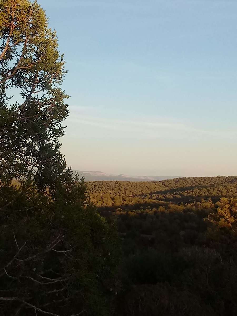 Serrano Ranch - Hipcamp in Ash Fork, Arizona