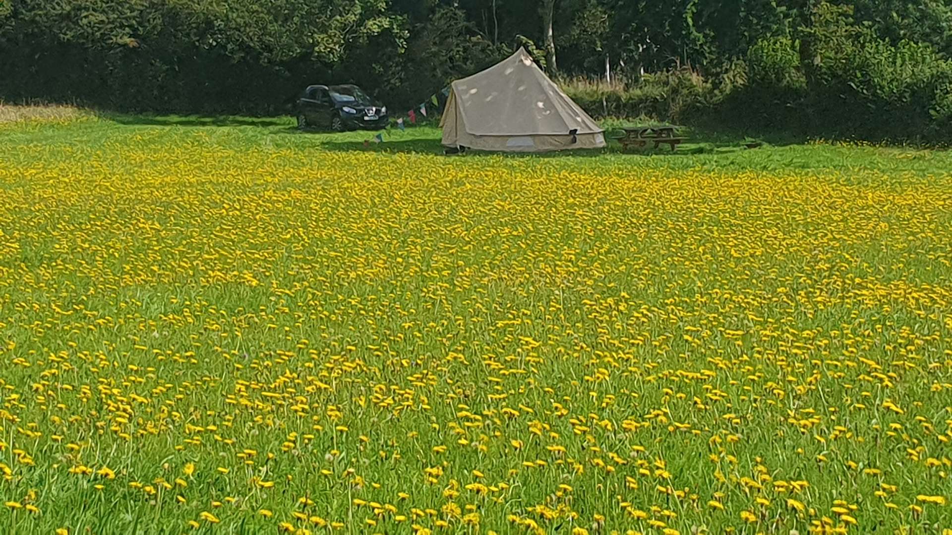 Goren Farm - Hipcamp in Seaton, England