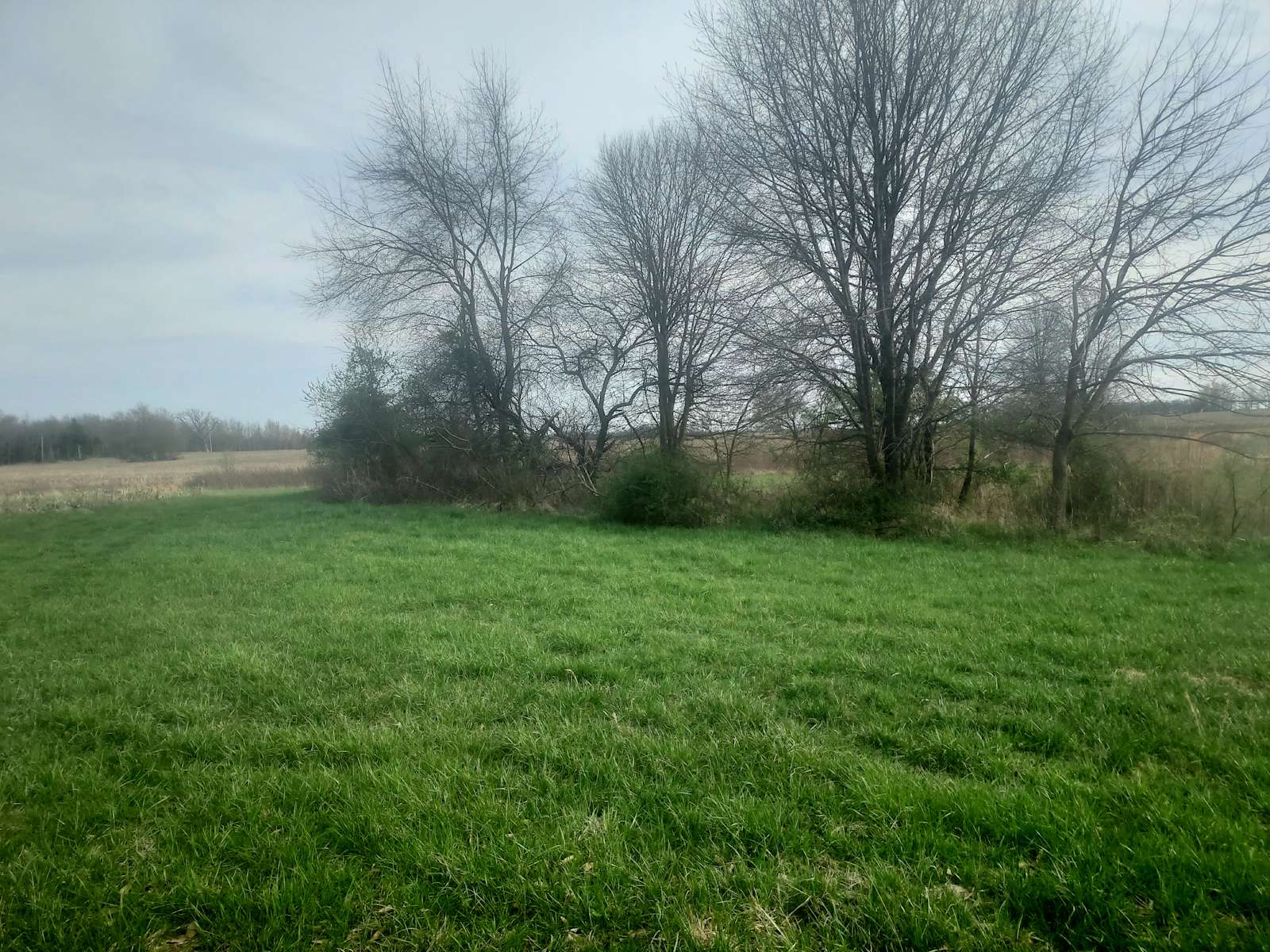Secluded Eclipse Viewing Field - Hipcamp in Bluford, Illinois