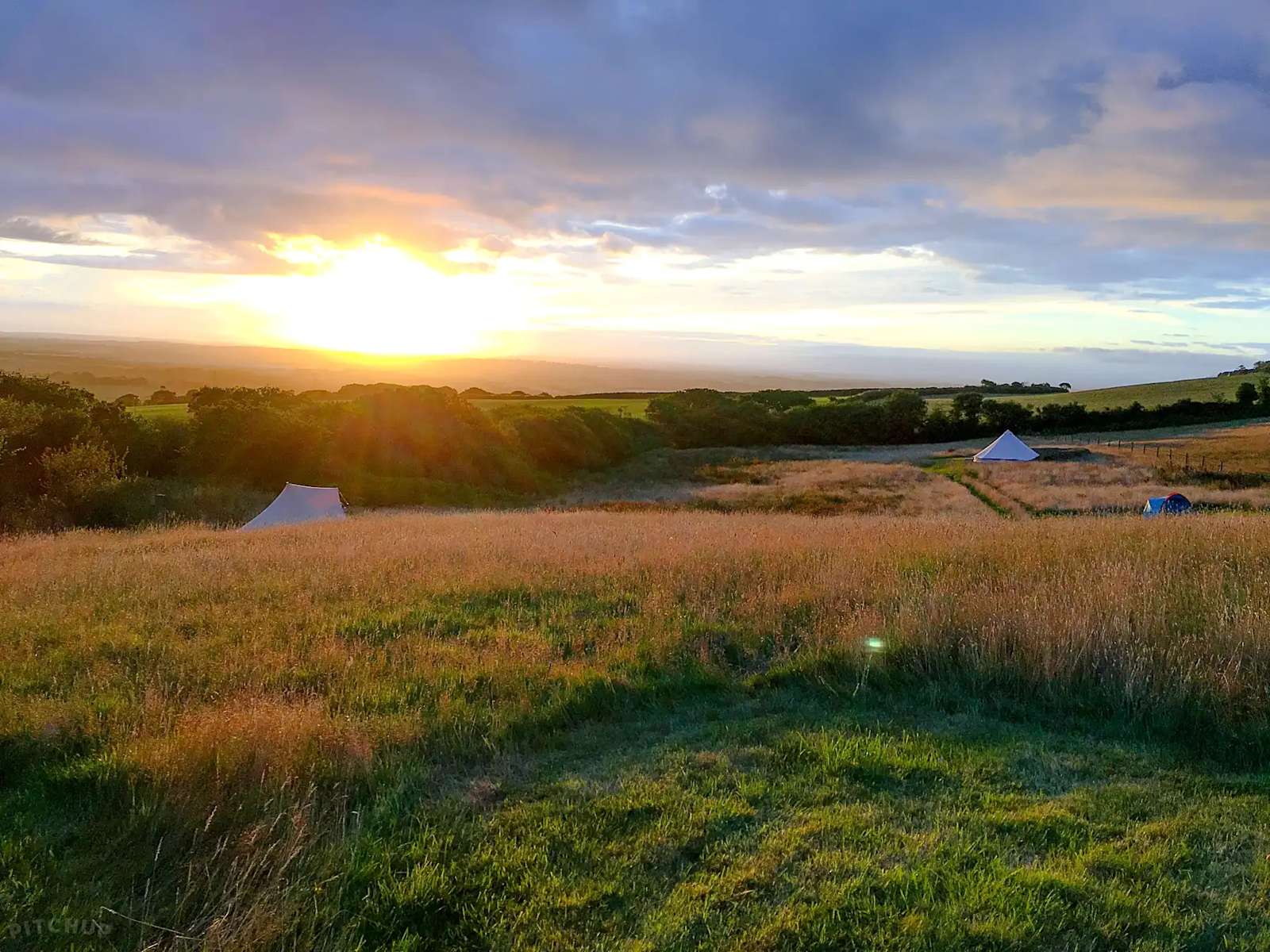 Fox Camping - Hipcamp in Launceston, England