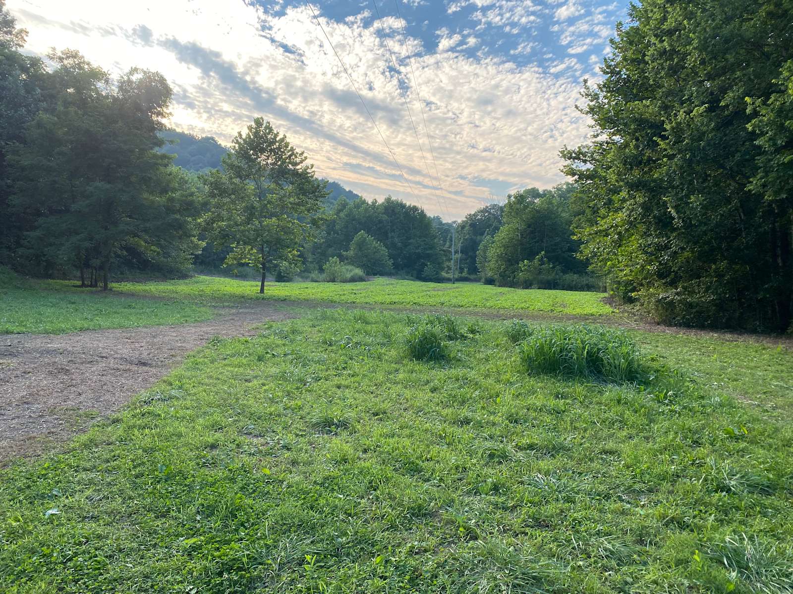 Happiness In The Holler - Hipcamp in Concord, Kentucky