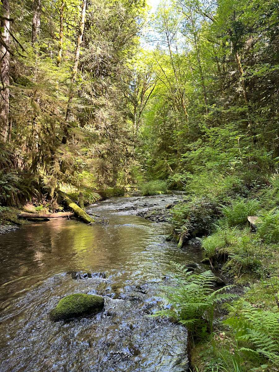 Little River Hideaway - Hipcamp in Quilcene, Washington
