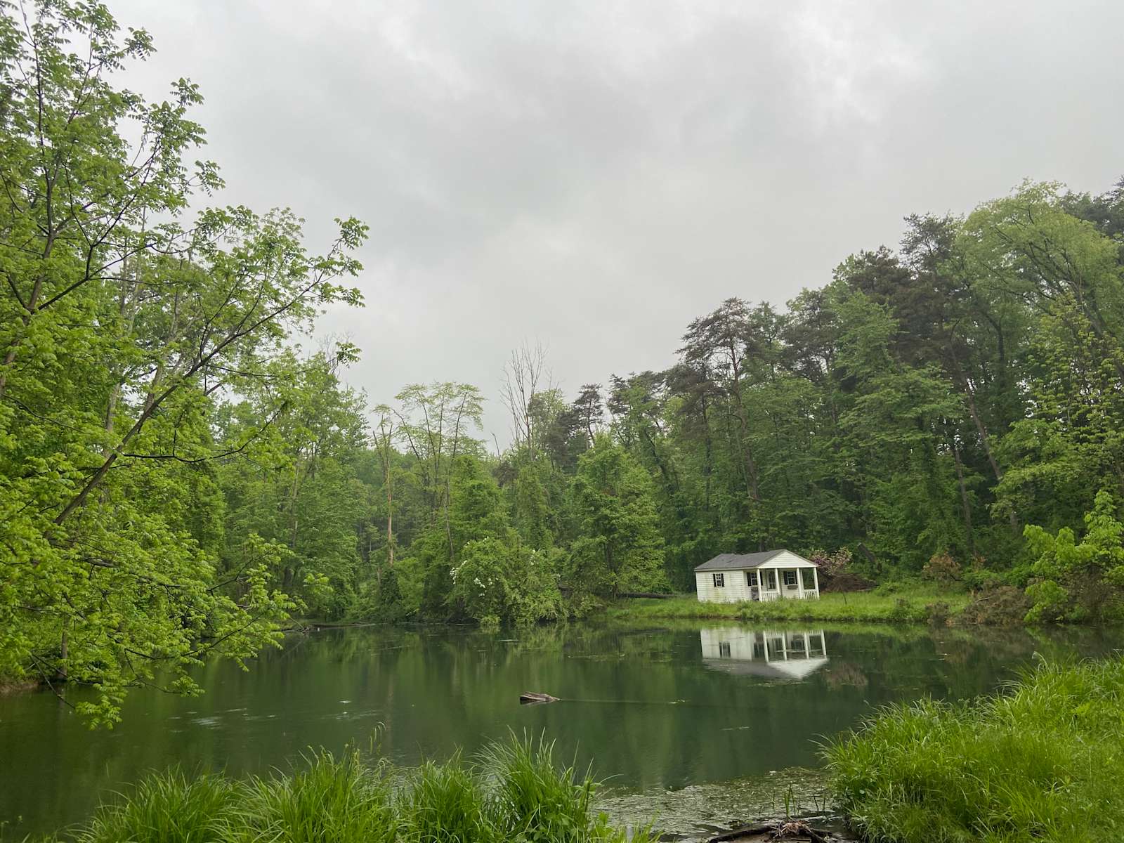 Meadowbrook Country Farm - Hipcamp in Pine Grove, Pennsylvania