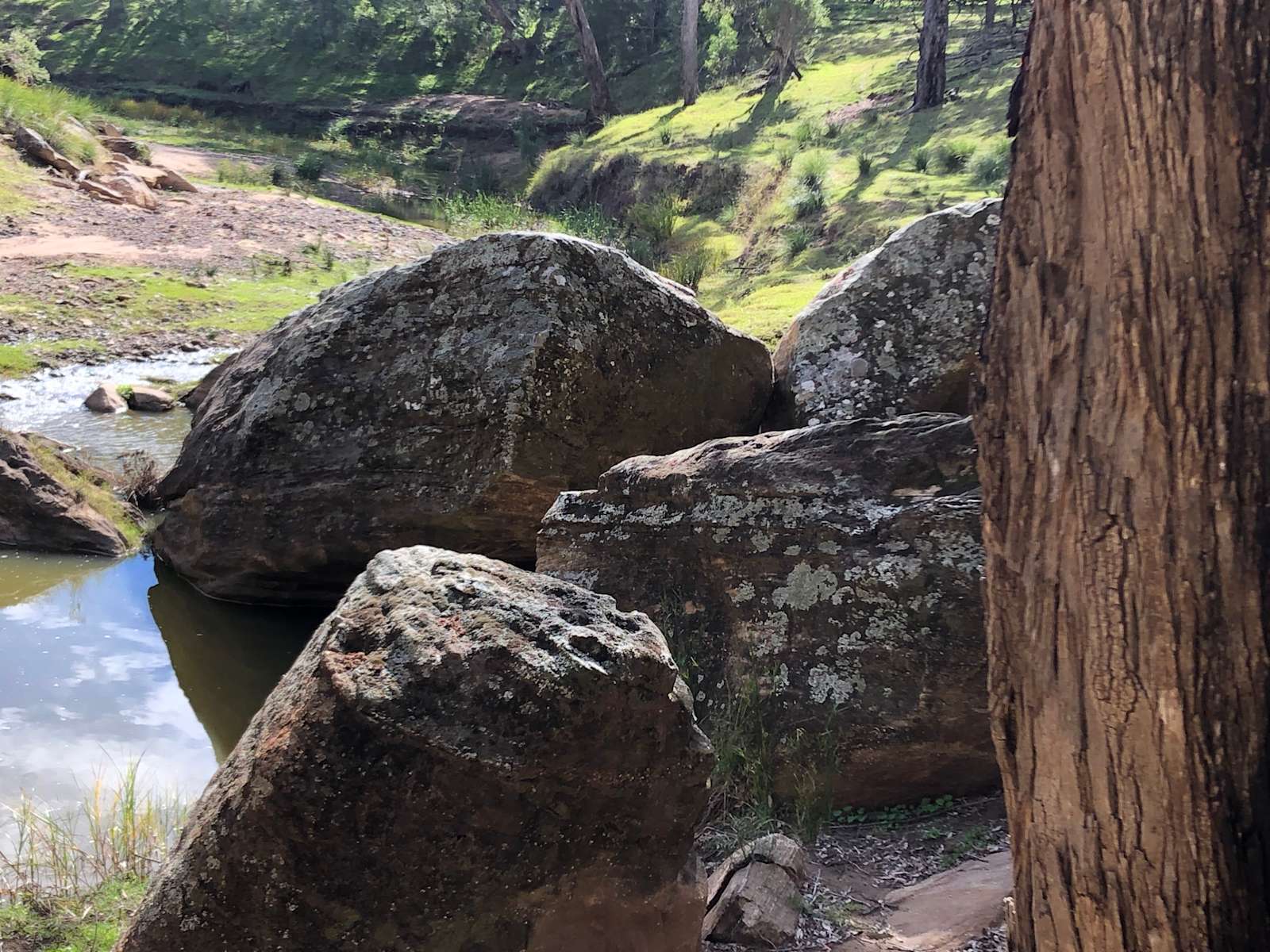 Hillside Camp on Bow River - Hipcamp in Merriwa, New South Wales