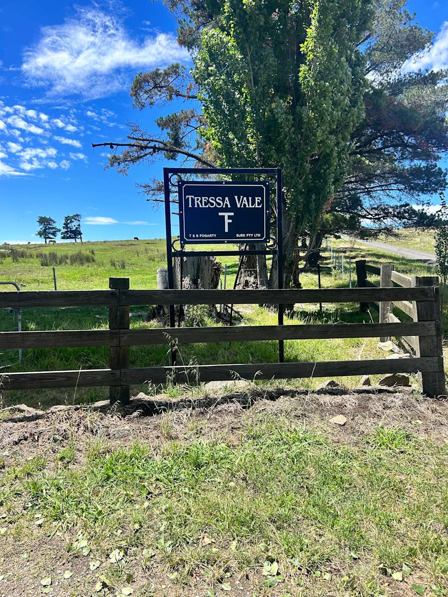 Tressa Vale - Hipcamp in Woolbrook, New South Wales