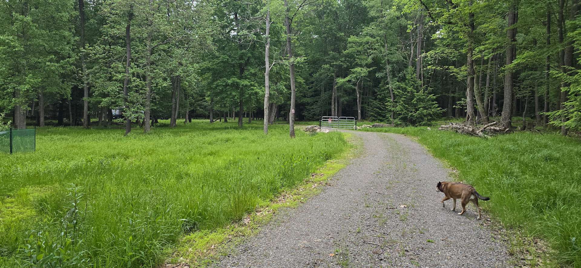 Clear Creek Cook Forest Campsite - Hipcamp in Sigel, Pennsylvania