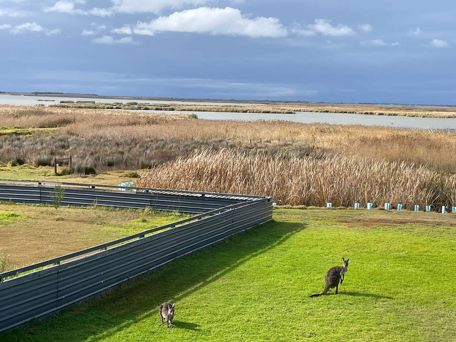 Kuntha La - Hipcamp in Goolwa North, South Australia