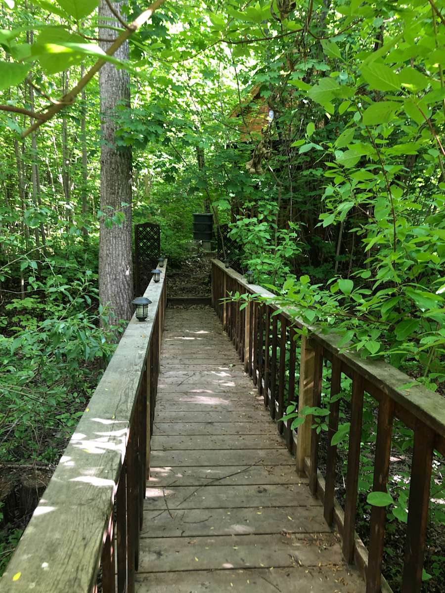 Tangle Wood - Hipcamp in Coldstream, British Columbia