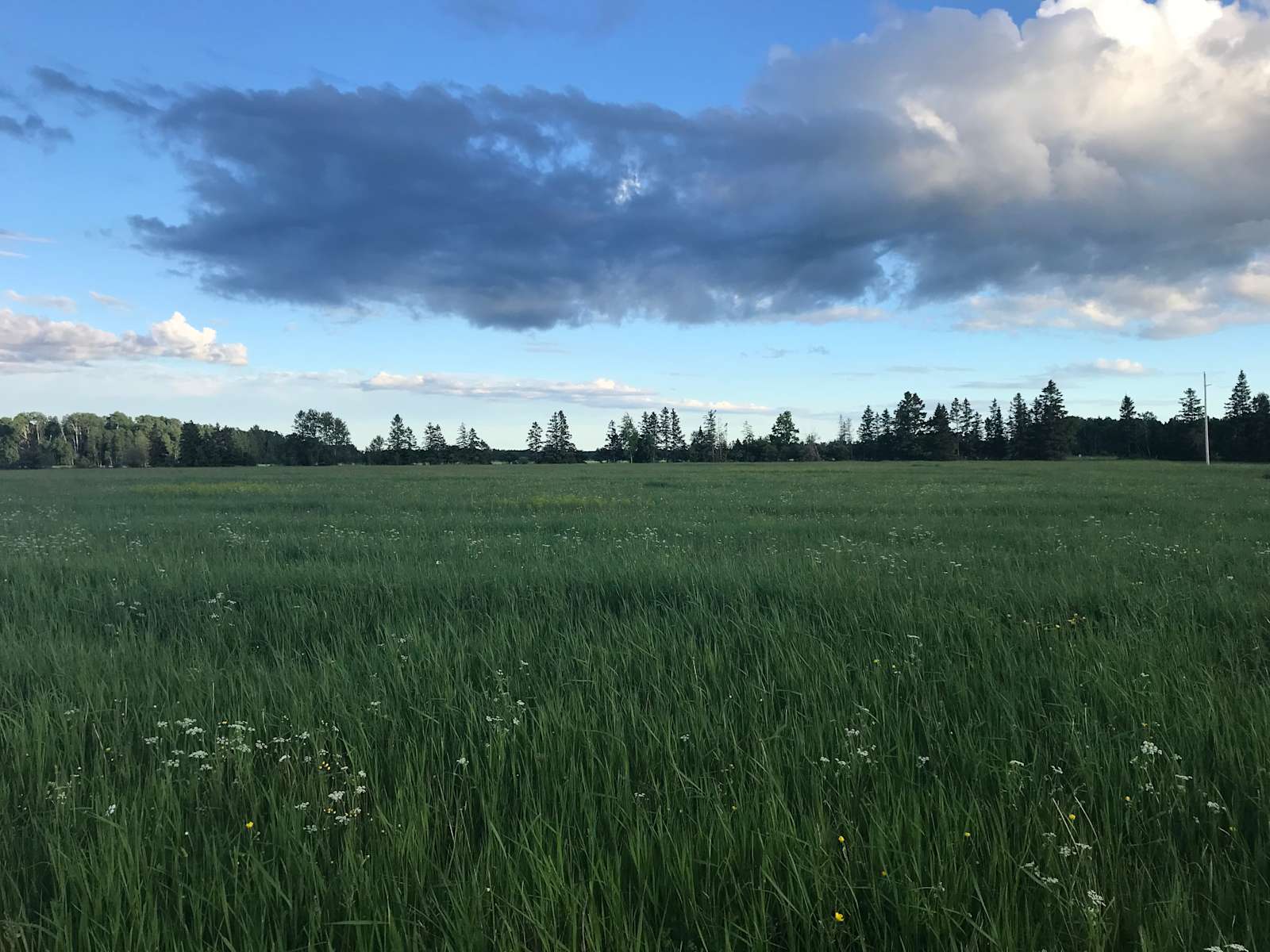 Farm Life - Hipcamp in Pickford, Michigan