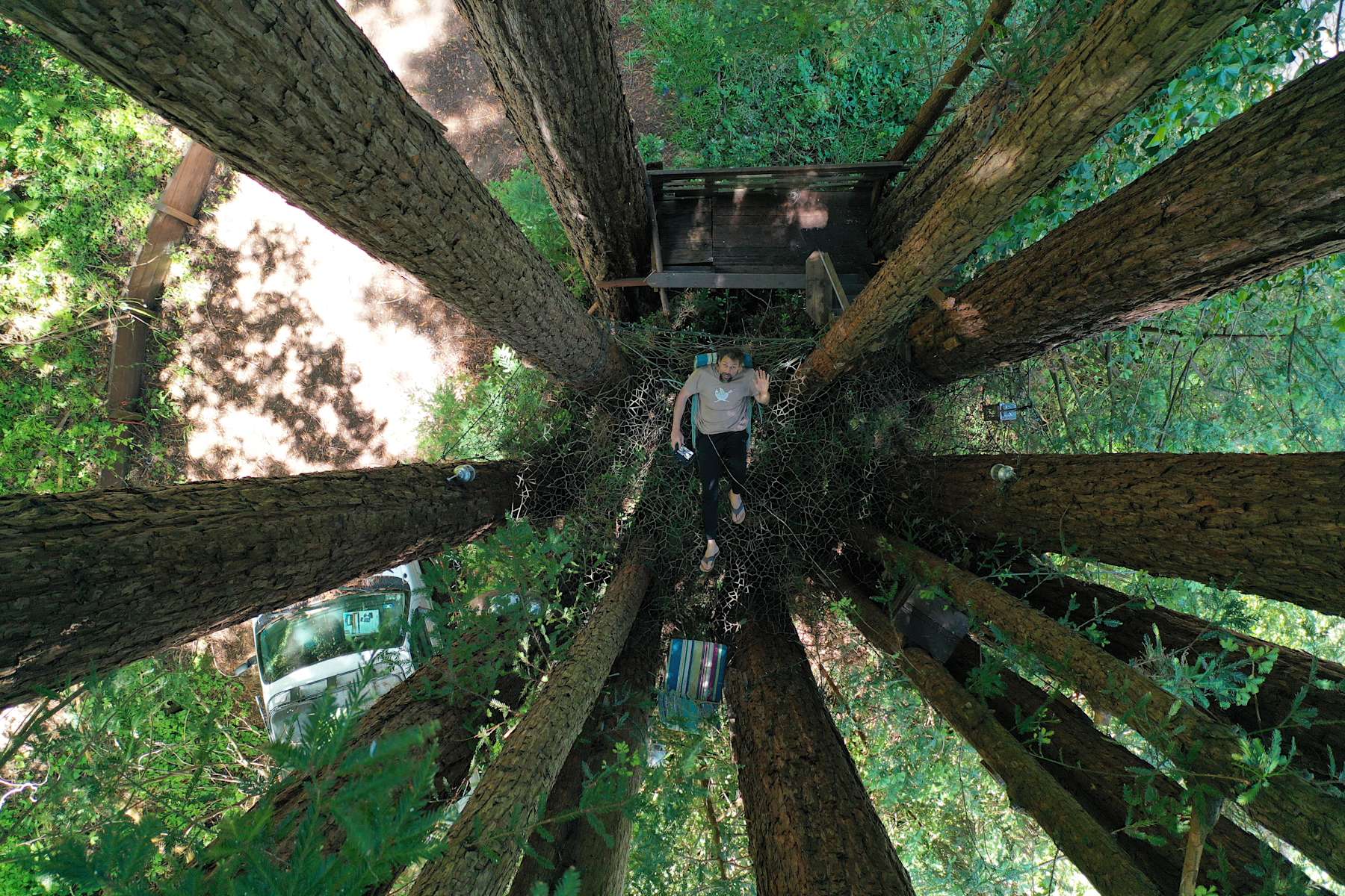Sleep Up High In A Redwood Tree-net - Hipcamp in San Geronimo, California