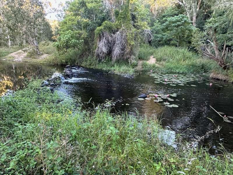 Crystal Brook Camping - Hipcamp in Crystal Brook, Queensland