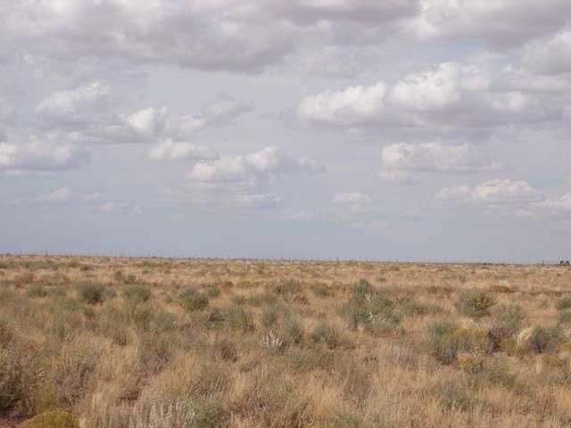 Stardust Ranch - Hipcamp in Sun Valley, Arizona
