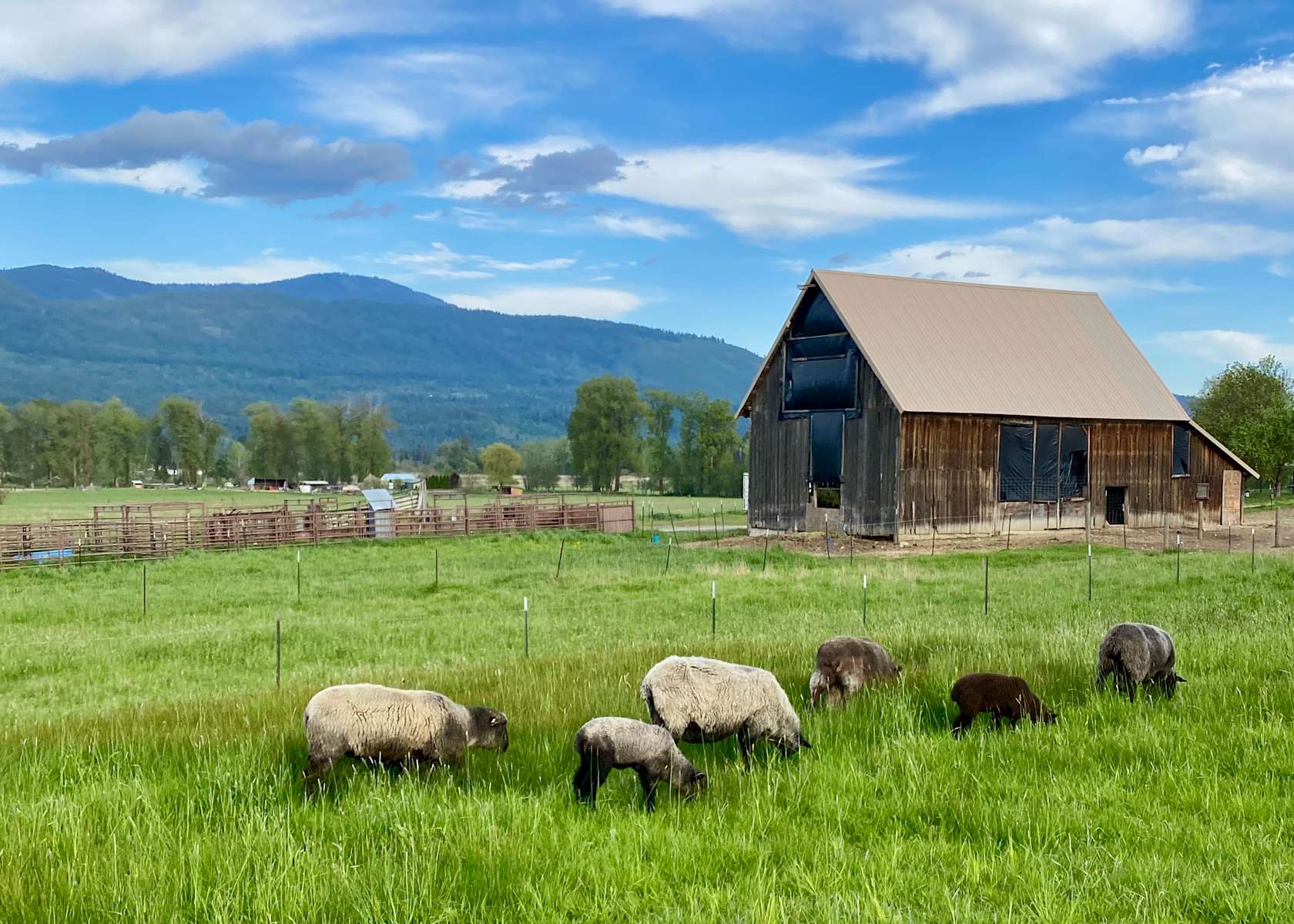 Ramstead Ranch - Hipcamp in Ione, Washington