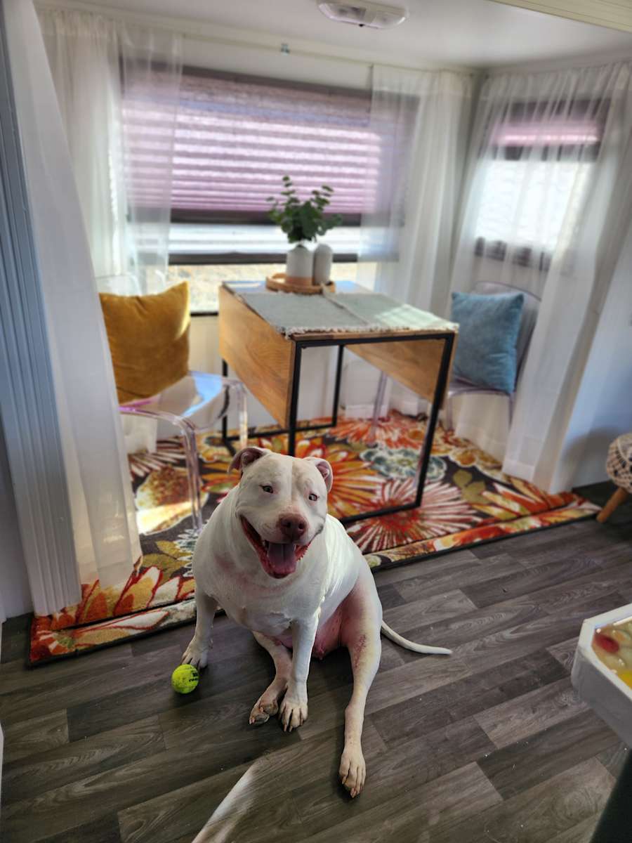 Candyland Camper - Hipcamp in Elizabeth, Colorado