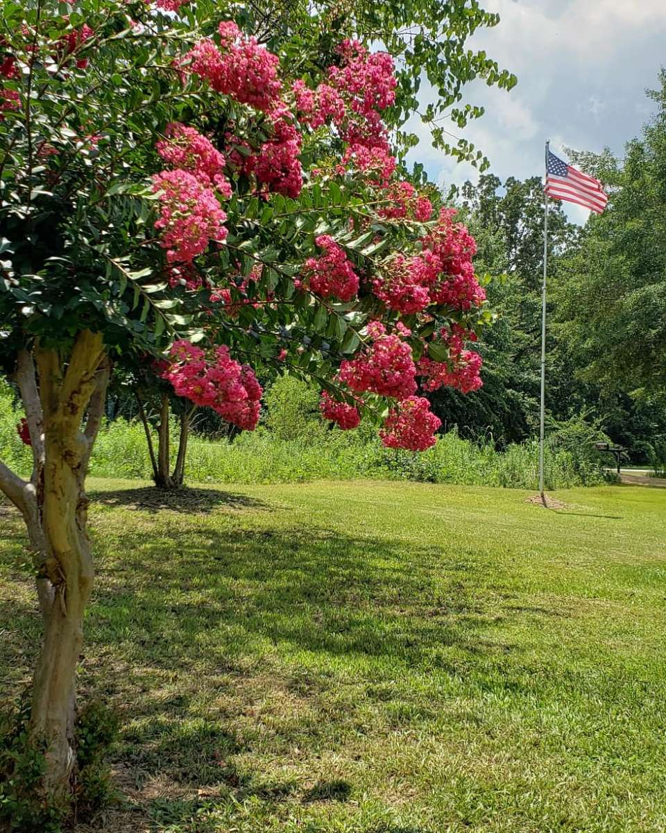 Smoky Bottom Farms - Hipcamp in Clanton, Alabama