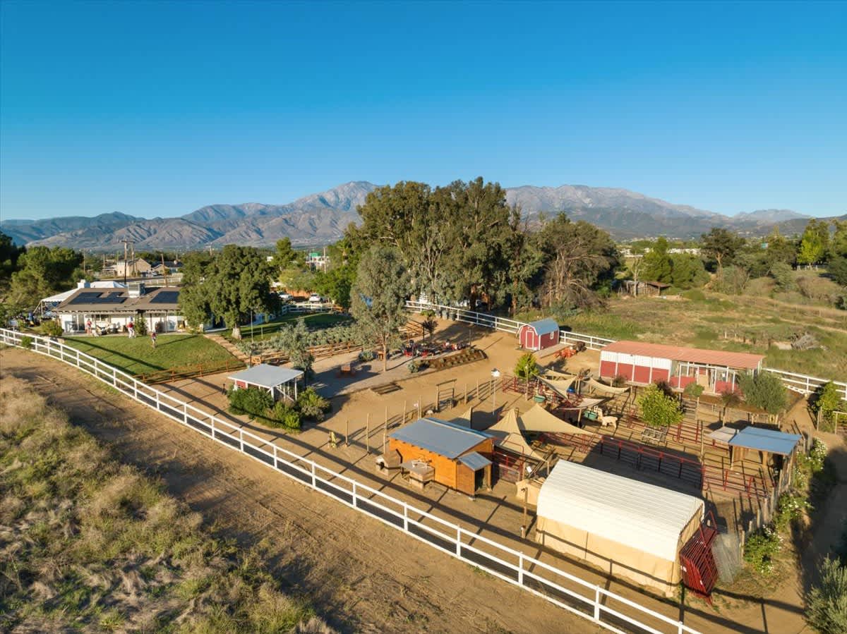 SoCal Double D Farm - Hipcamp in Calimesa, California