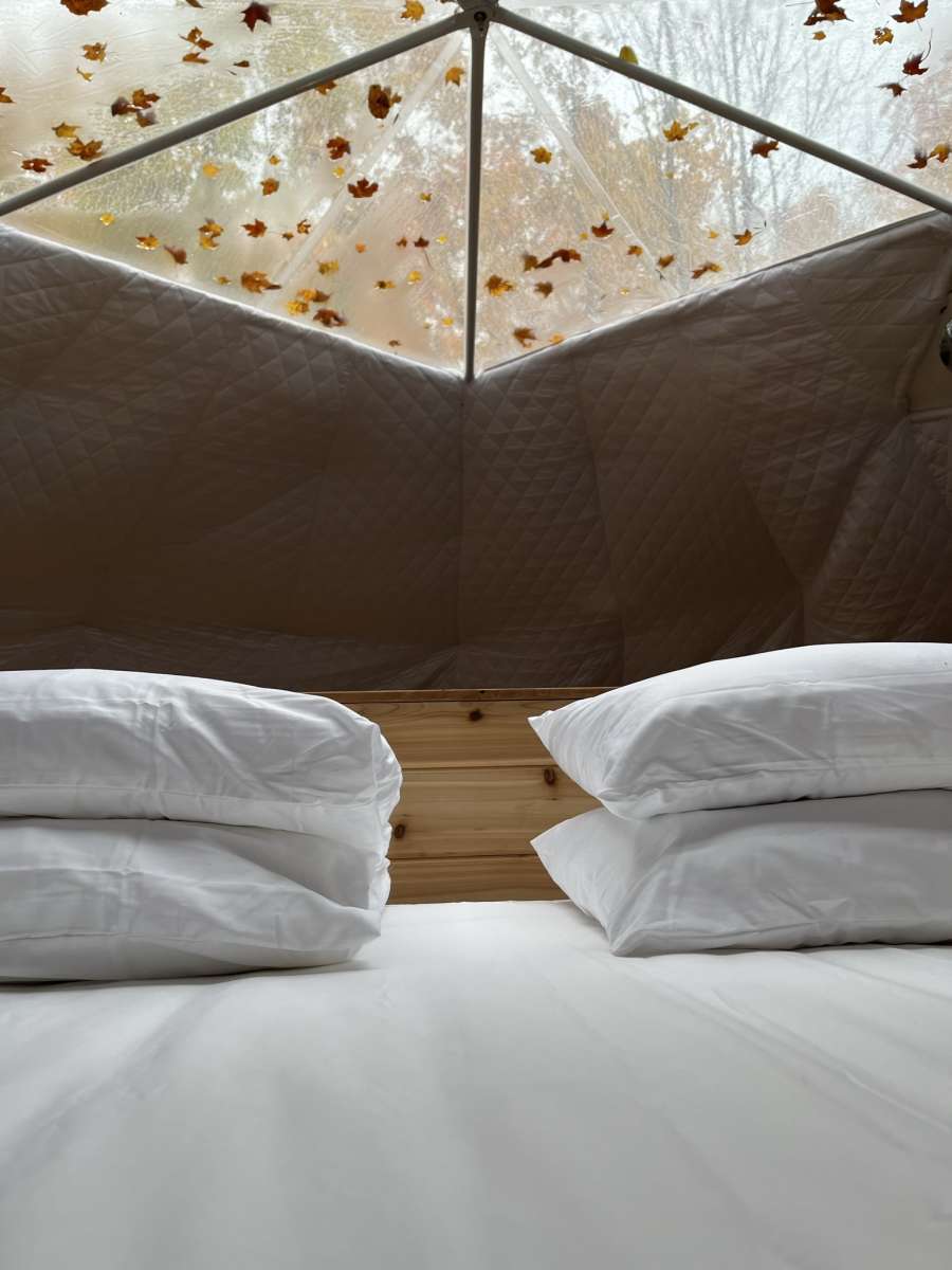 Forest Stargazing Glamping Dome - Hipcamp in Orillia, Ontario