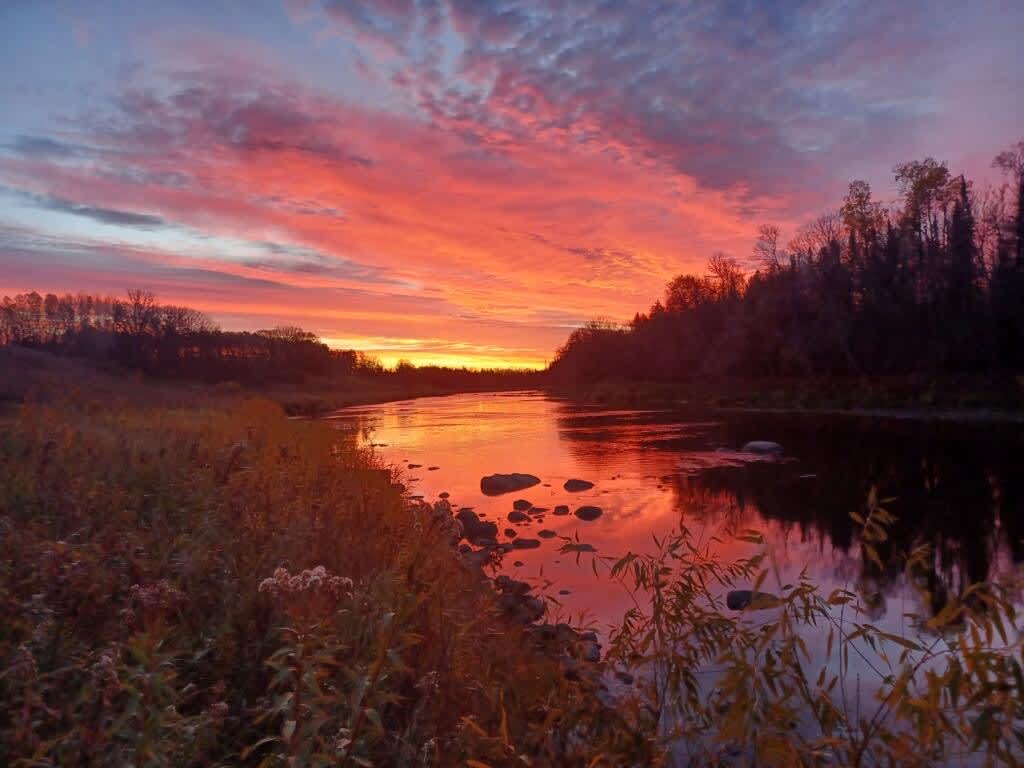 Beautiful Waterfront Adventure - Hipcamp in Littlefork, Minnesota