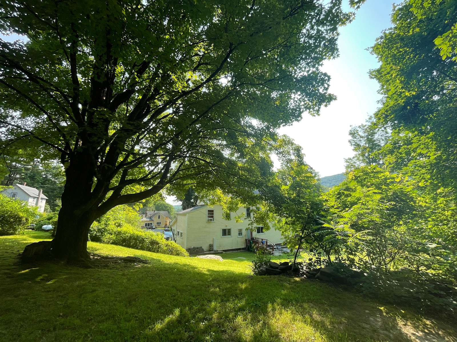 Secluded Moss Haven - Hipcamp in Erving, Massachusetts