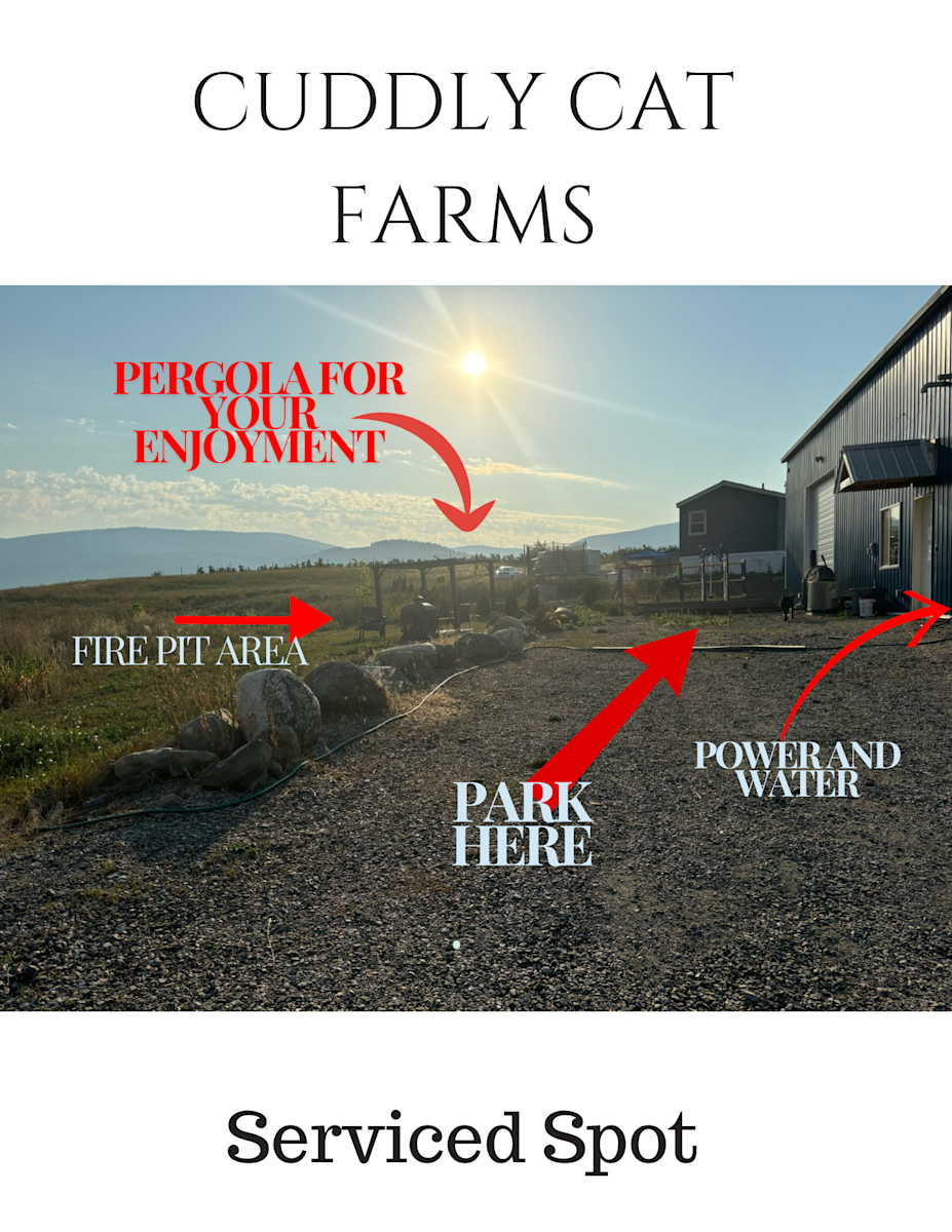 Cuddly Cat Farms - Hipcamp in Vernon, British Columbia