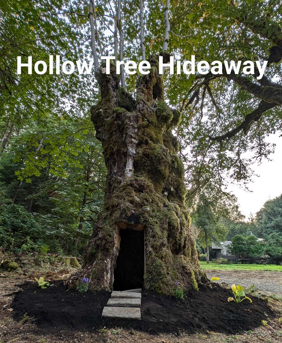 Hollow Tree Hideaway - Hipcamp in Monroe, Washington