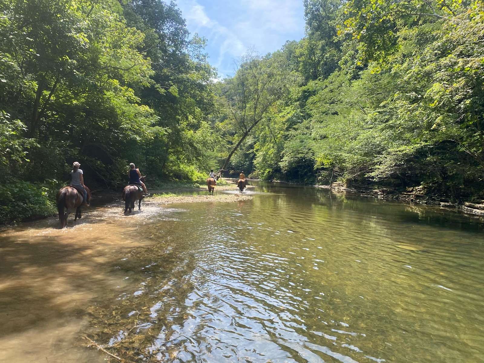 River Bluff Ranch W/ River Access - Hipcamp in Manchester, Tennessee