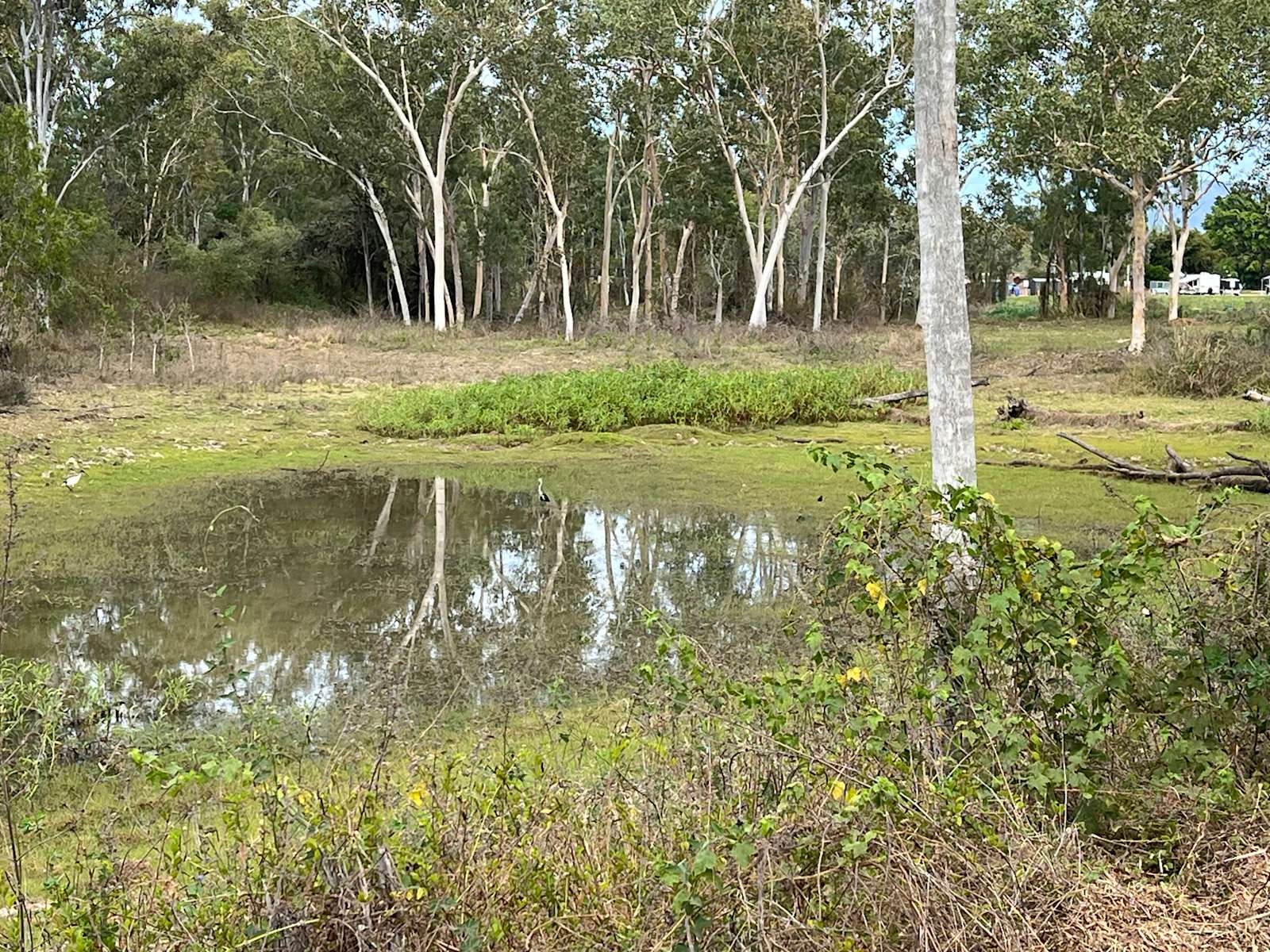 Black River Outback Ranch - Hipcamp in Black River, Queensland