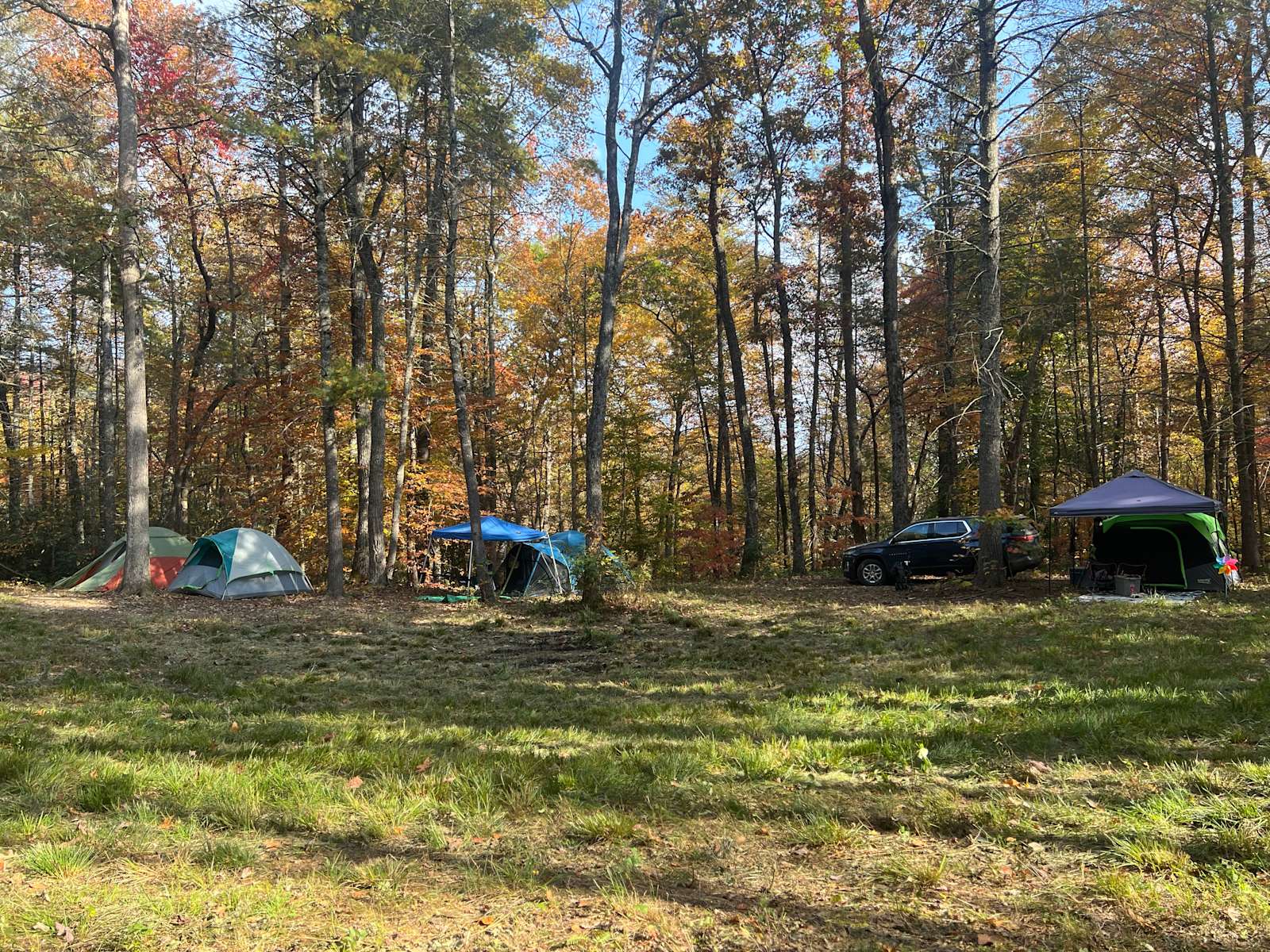 Bear Trail Ridge In Del Rio - Hipcamp in Del Rio, Tennessee
