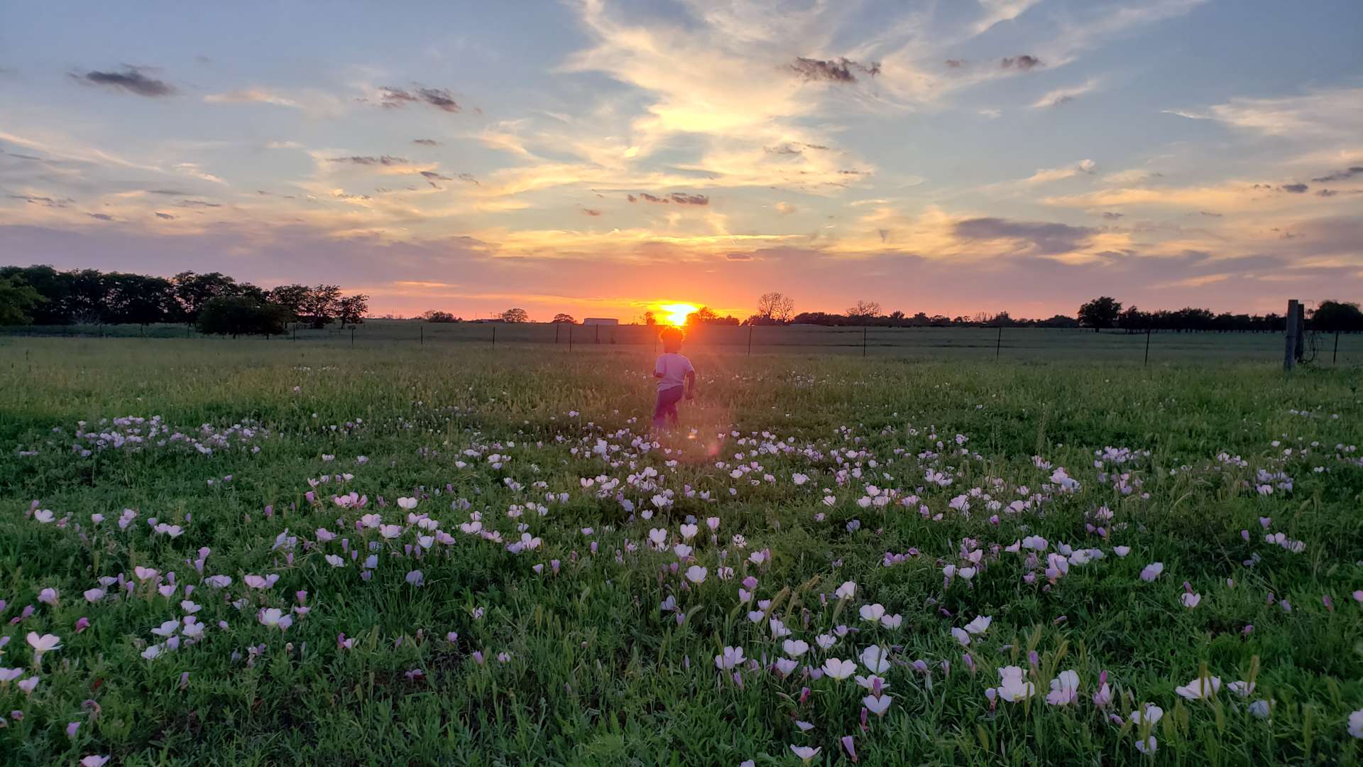 McDonald Ranch - Hipcamp in Caldwell, Texas