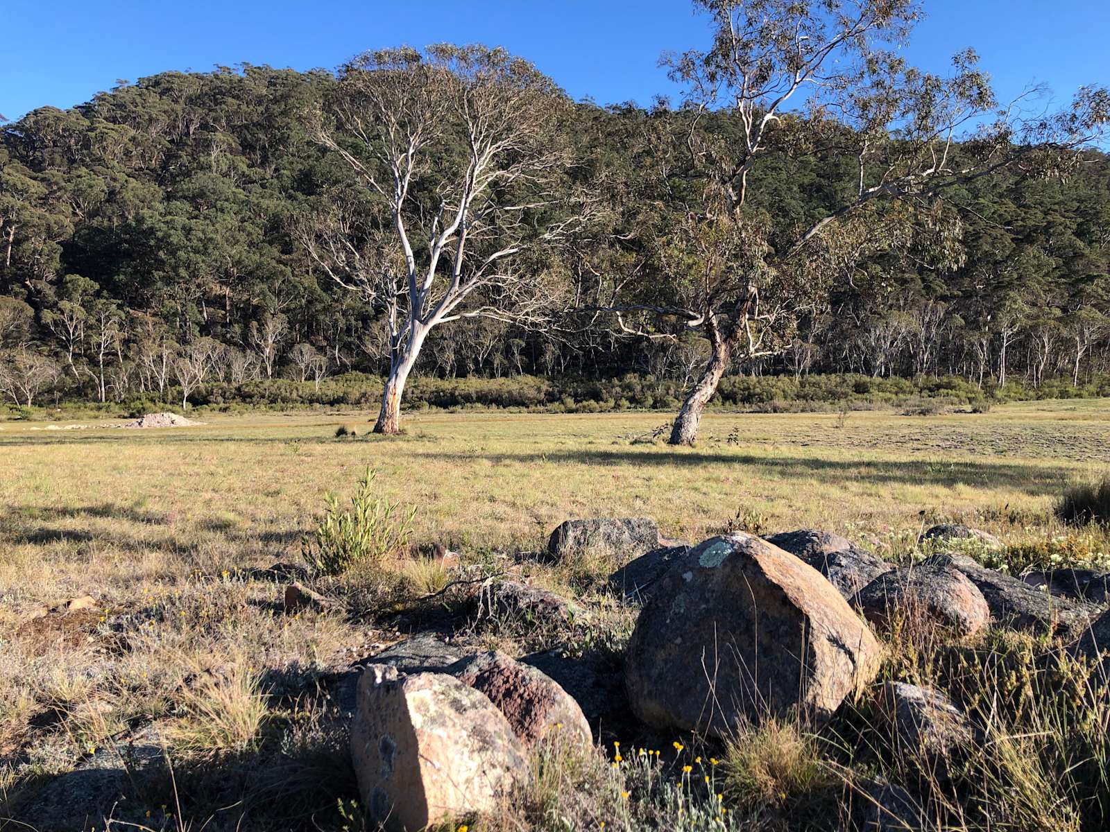 Deua Mist - Hipcamp in Wyanbene, New South Wales