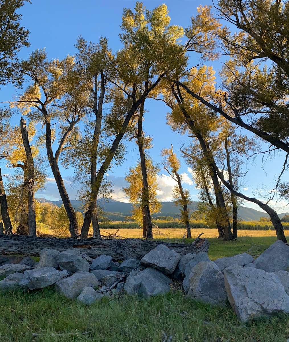 The Scott Ranch - Hipcamp in South Fork, Colorado