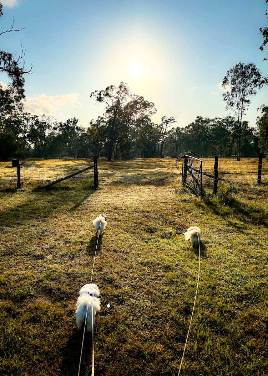 Lenlie Farm - Hipcamp in Pacific Haven, Queensland